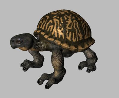 My Liner Notes for Spore - Chris Hecker's Website